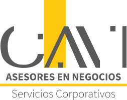 Inicio - CAVI Asesores en Negocios